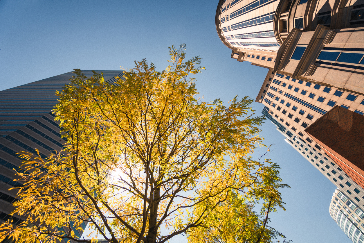 Is Your Massachusetts Business Protected Against Property Risks ...